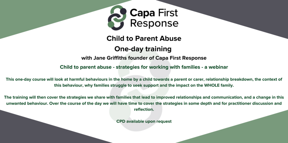 1 day professionals training - Capa First Response